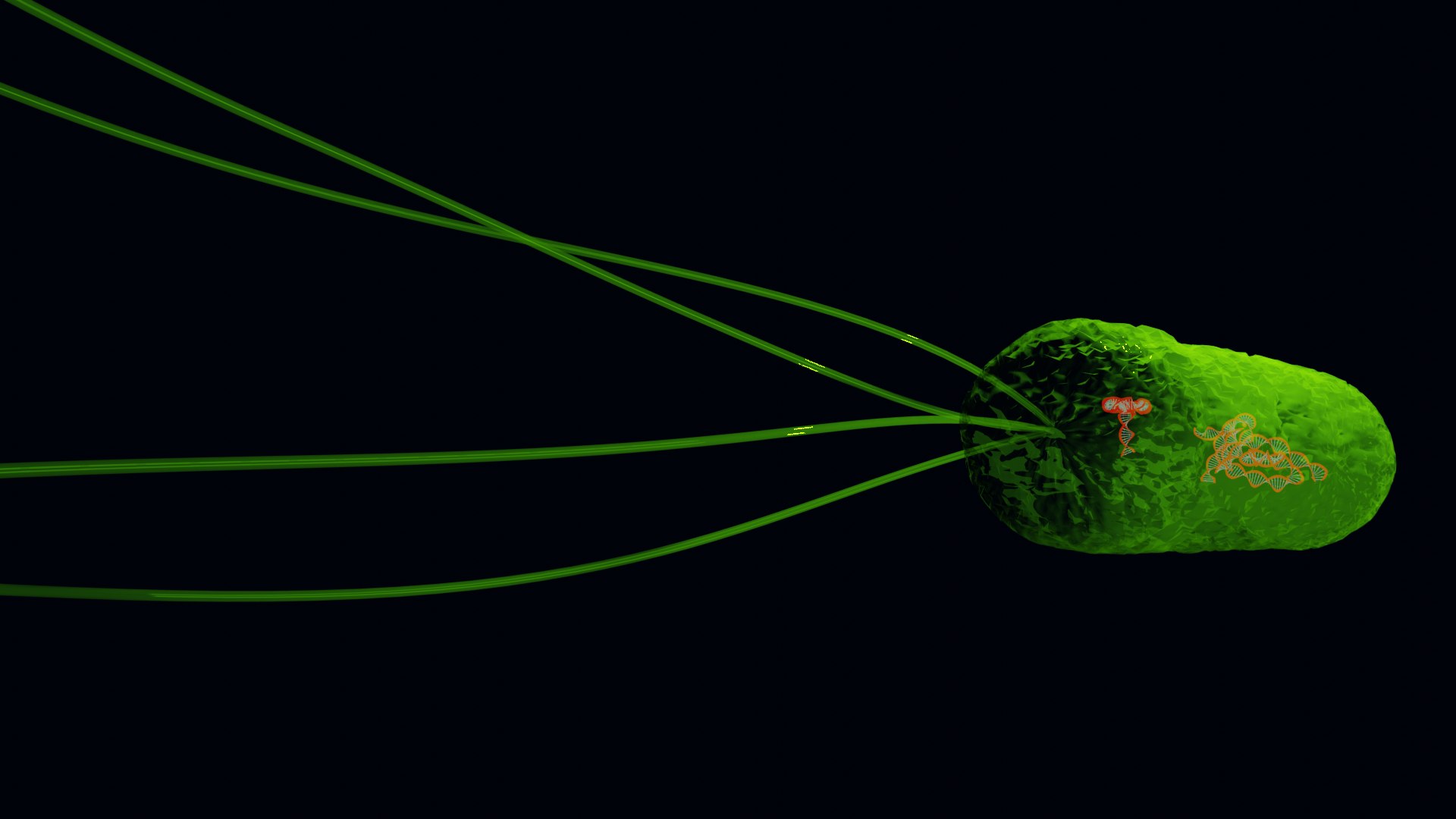 Bacteria With Dna Helix Detailed 3D Model - TurboSquid 2055950