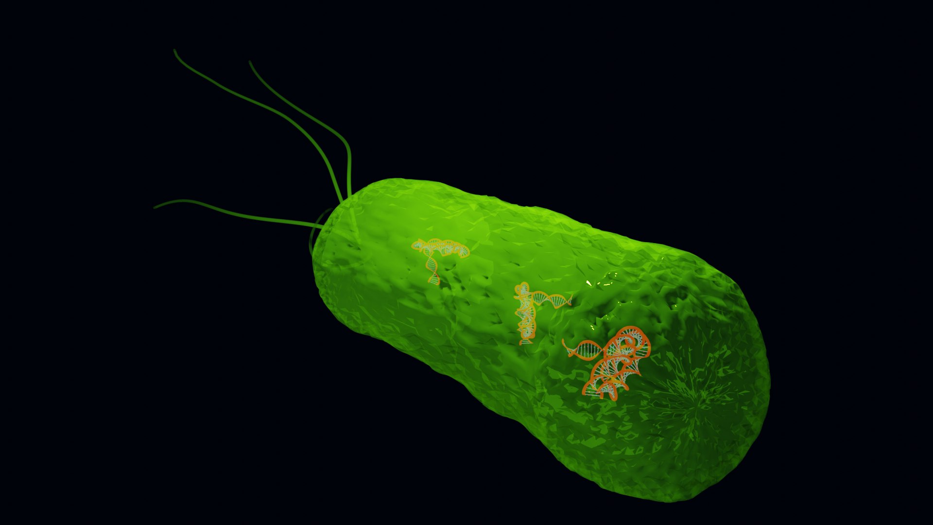 Bacteria With Dna Helix Detailed 3D Model - TurboSquid 2055950