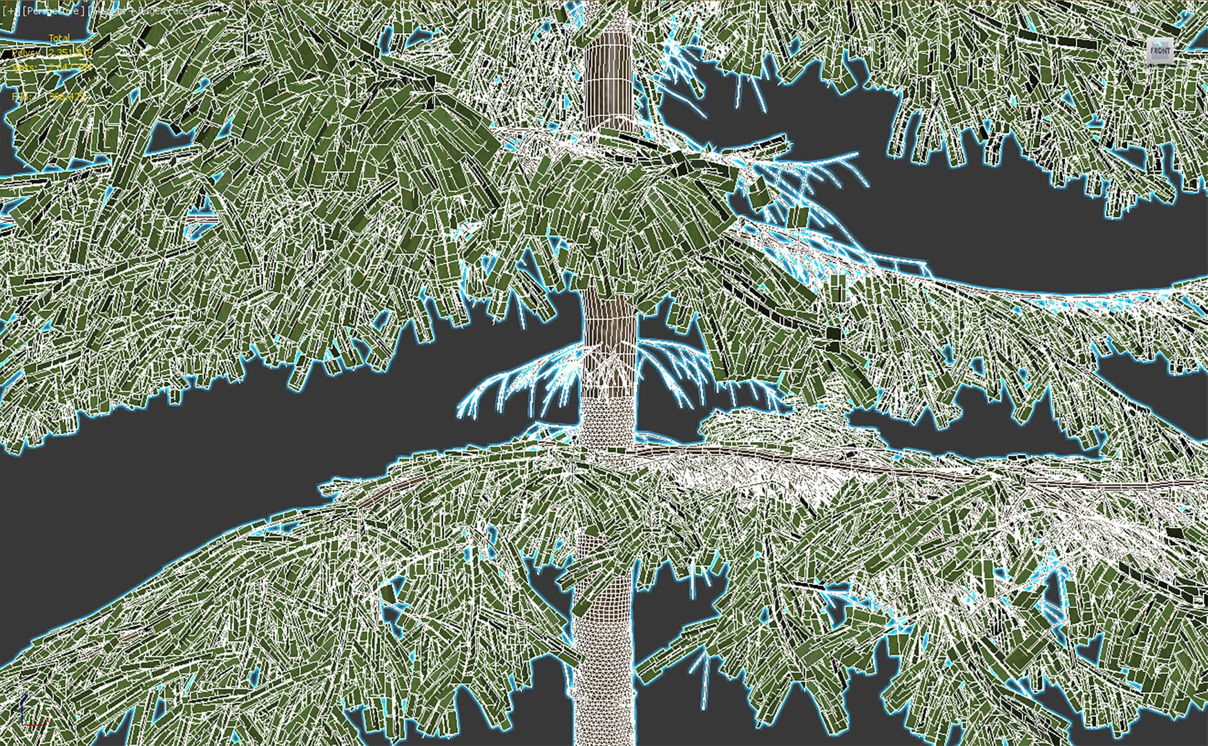 Spruce tree nature model - TurboSquid 1693825
