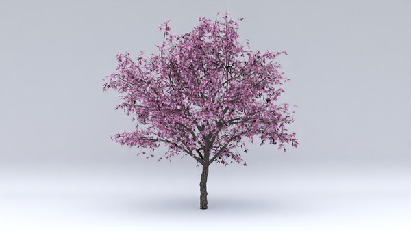 Flowering Tree 3D Models for Download | TurboSquid
