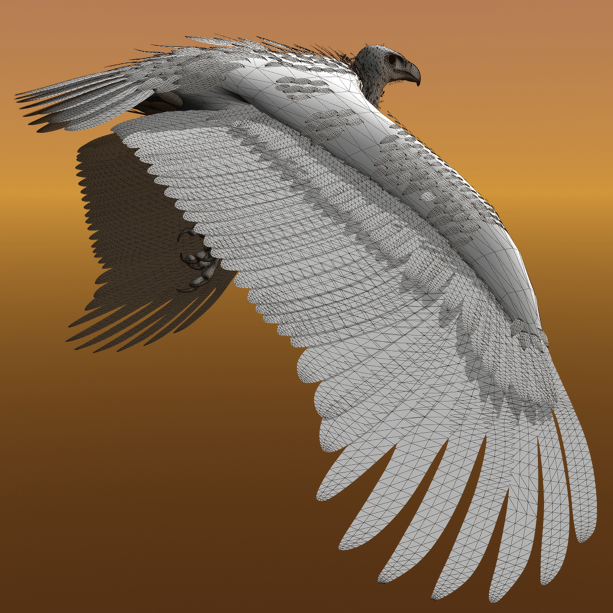 griffon vulture lwo