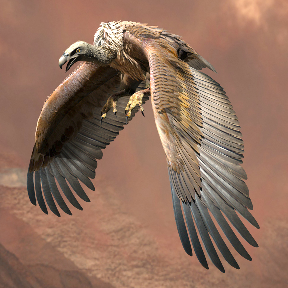 griffon vulture lwo