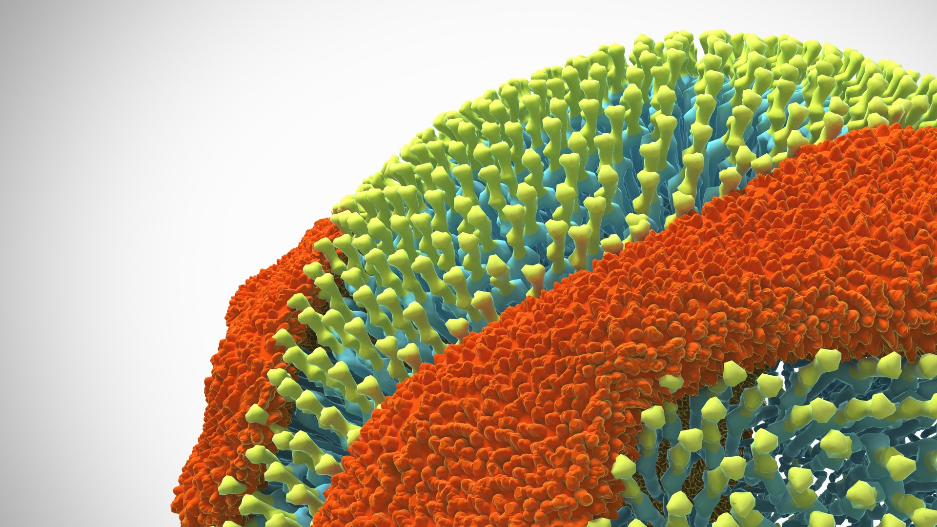 Low-density Lipoprotein Cholesterol 3D - TurboSquid 1913772