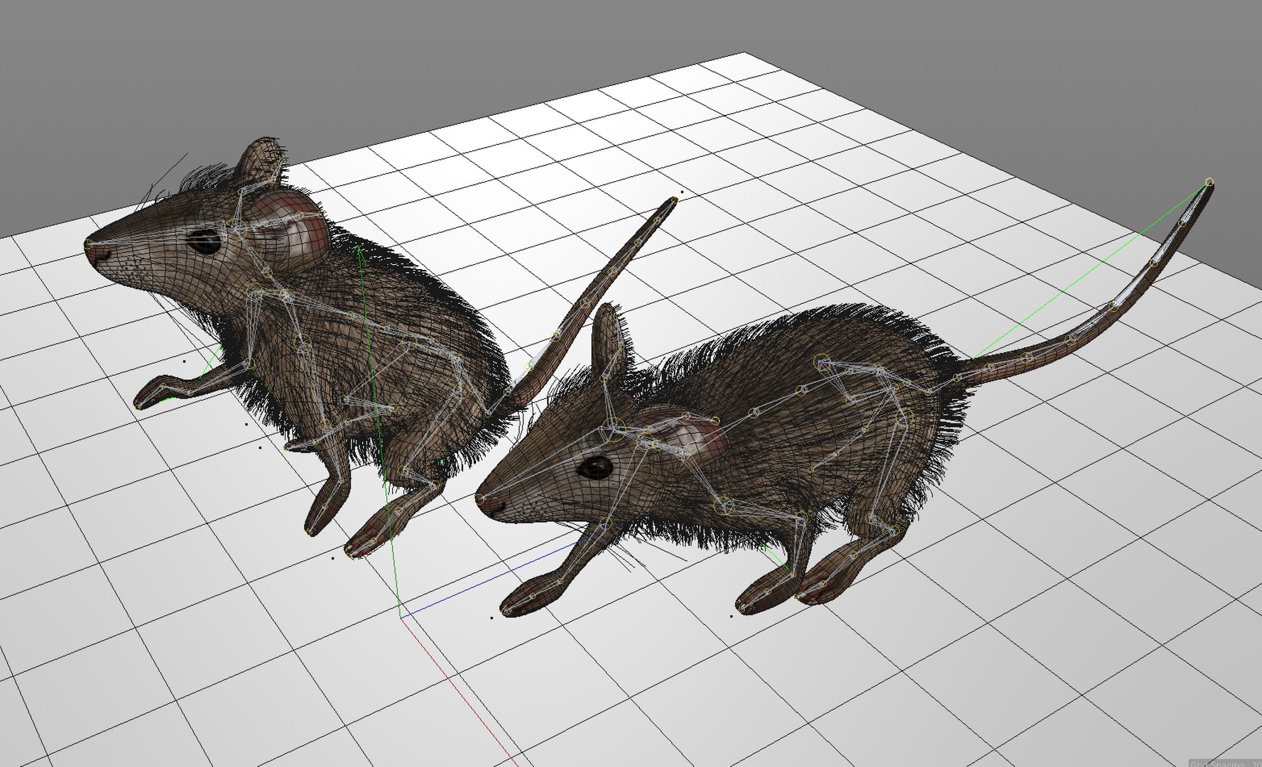 Rigged Mouse Animation 3D Model - TurboSquid 1570761
