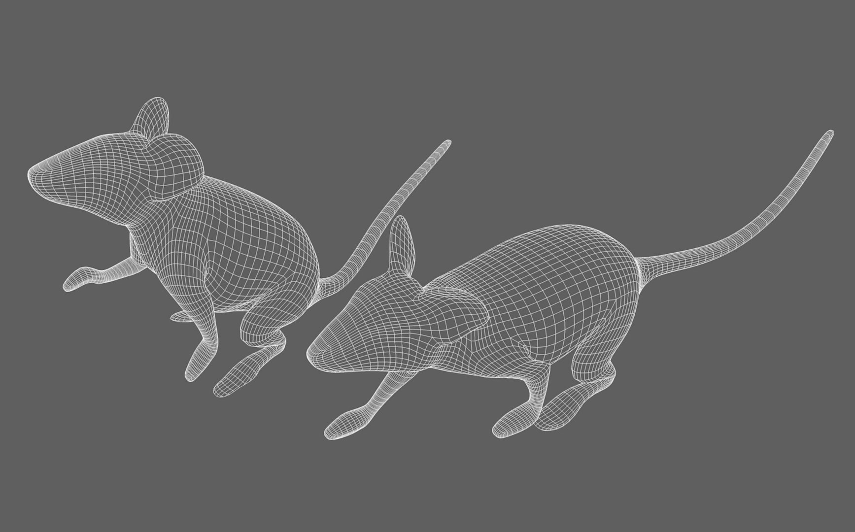 Rigged Mouse Animation 3D Model - TurboSquid 1570761