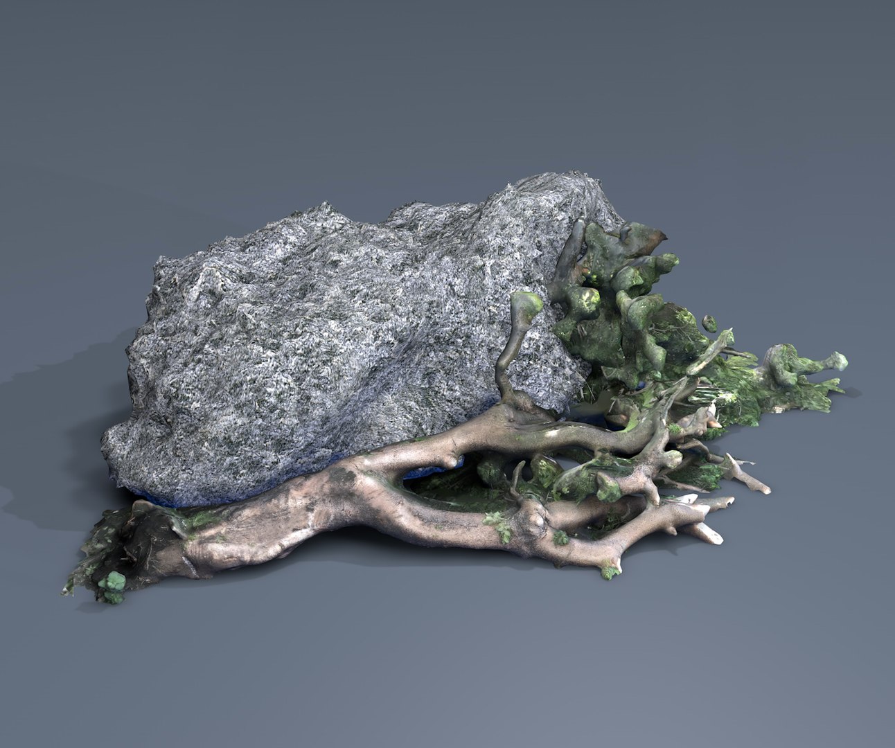 Fall Tree 3D - TurboSquid 1418645