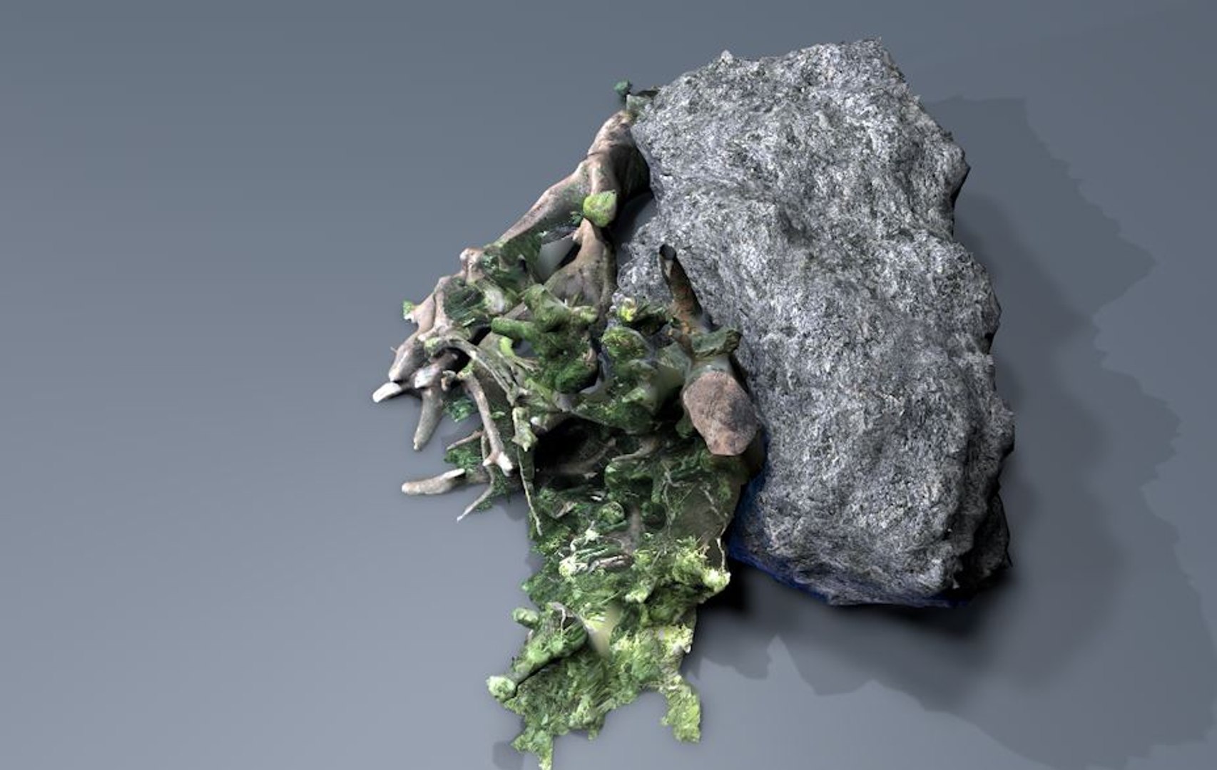 Fall Tree 3D - TurboSquid 1418645