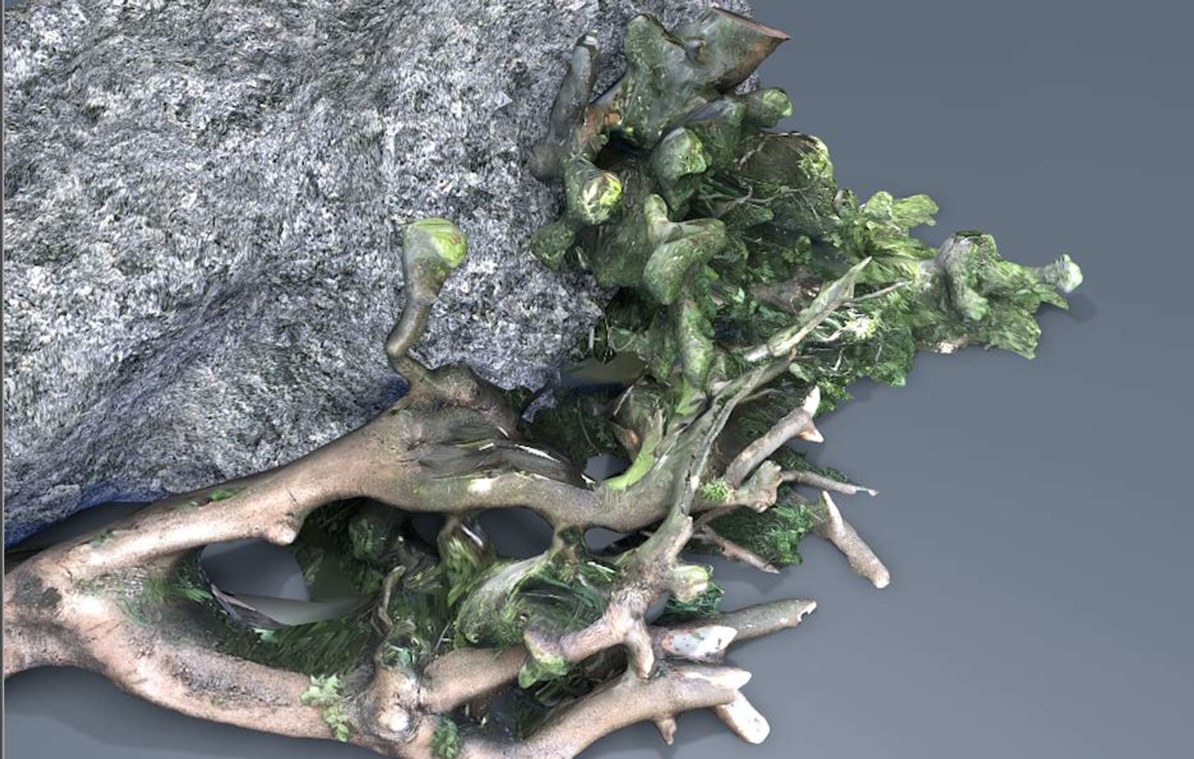 Fall Tree 3D - TurboSquid 1418645