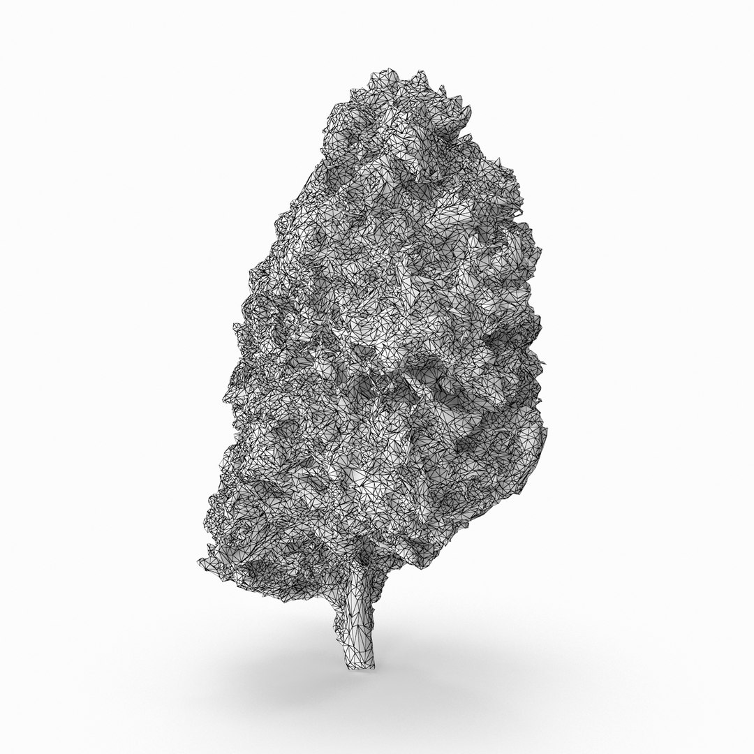 Cannabis bud scan model - TurboSquid 1156521