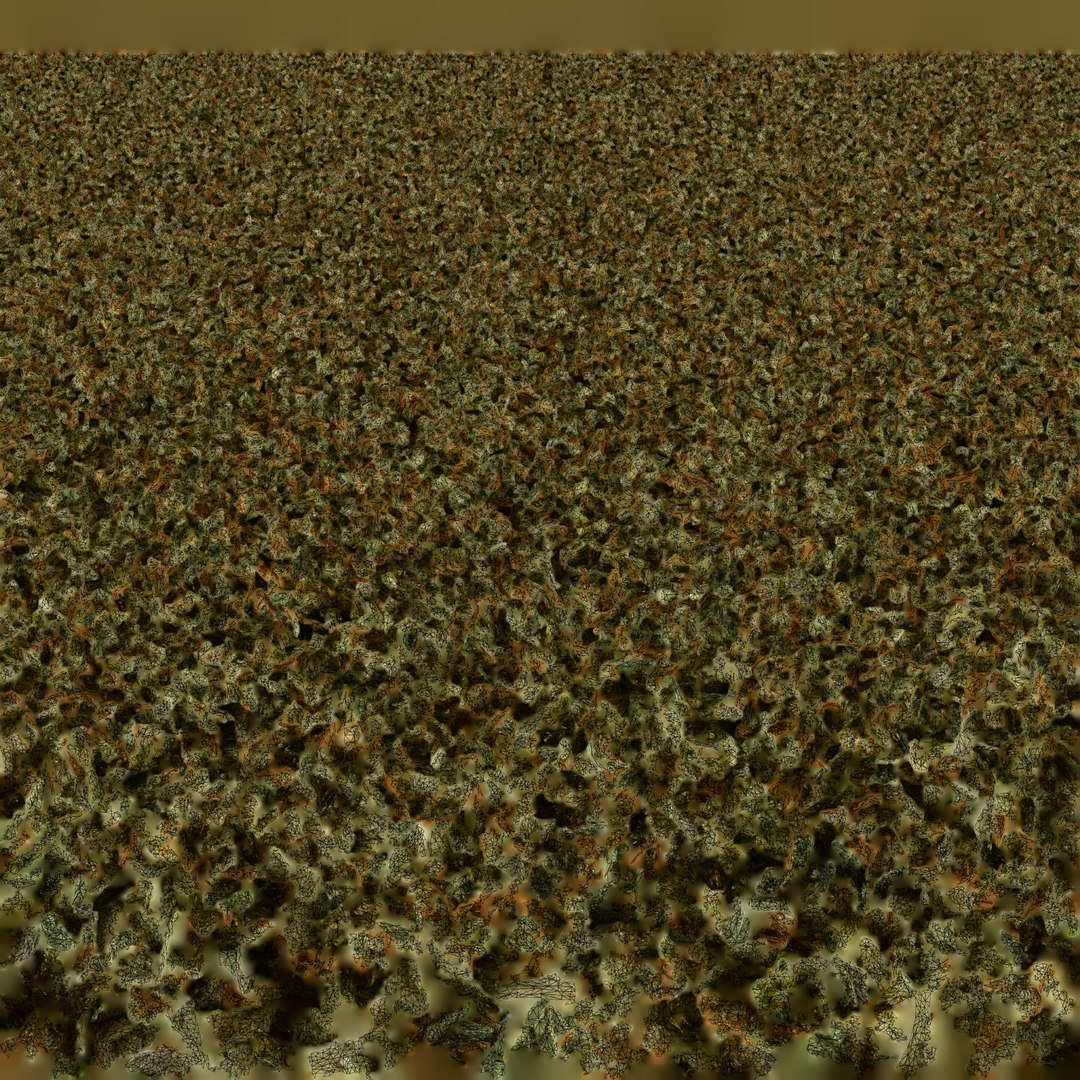 Cannabis bud scan model - TurboSquid 1156521