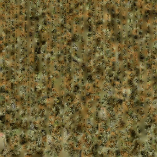 Cannabis bud scan model - TurboSquid 1156521