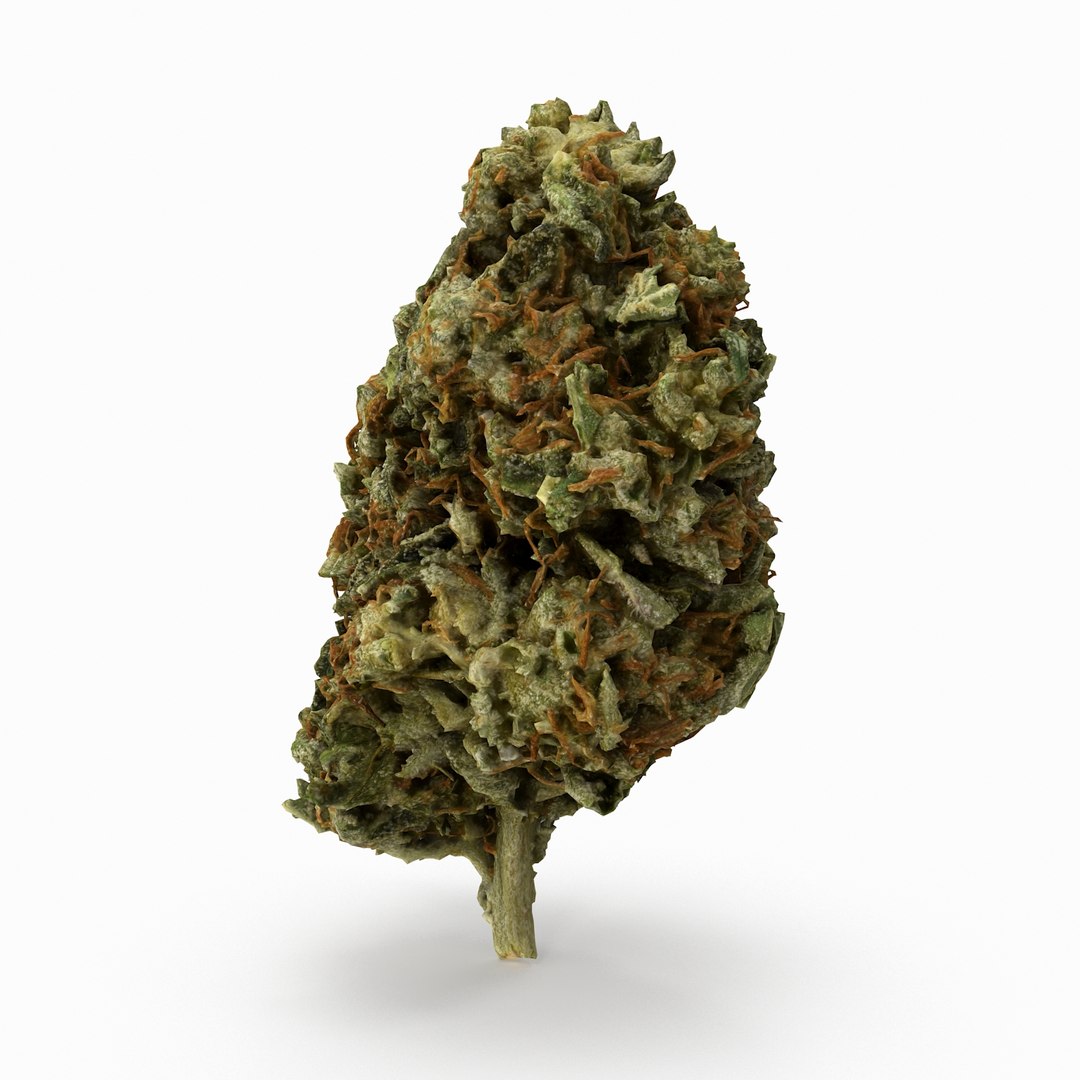 Cannabis bud scan model - TurboSquid 1156521
