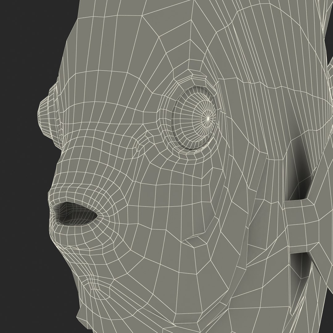 Symphysodon Fish 3d C4d