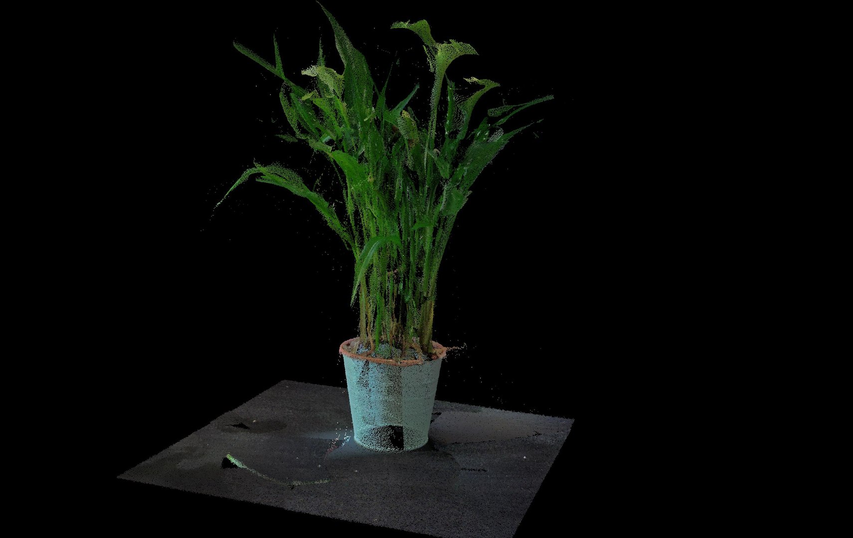 3D 3D Laser Scanned Point Cloud Of Potted Plant - TurboSquid 2258002