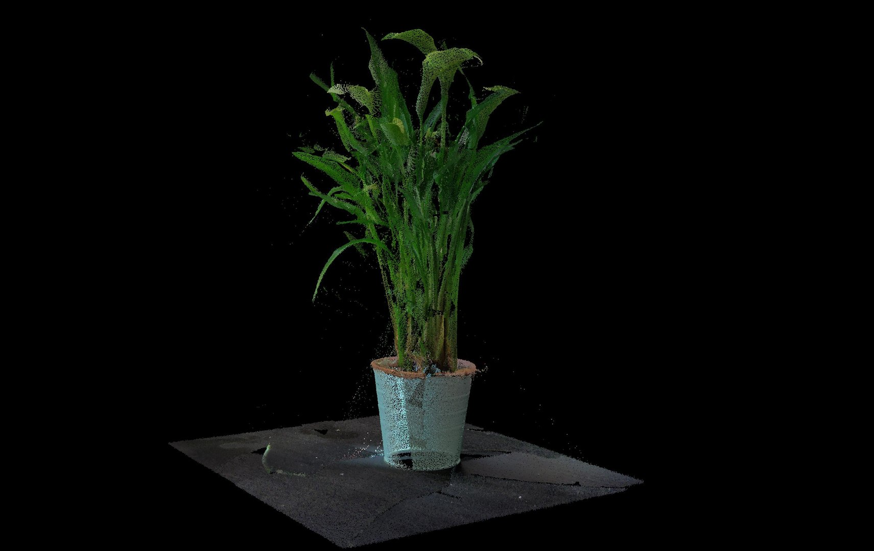 3D 3D Laser Scanned Point Cloud Of Potted Plant - TurboSquid 2258002