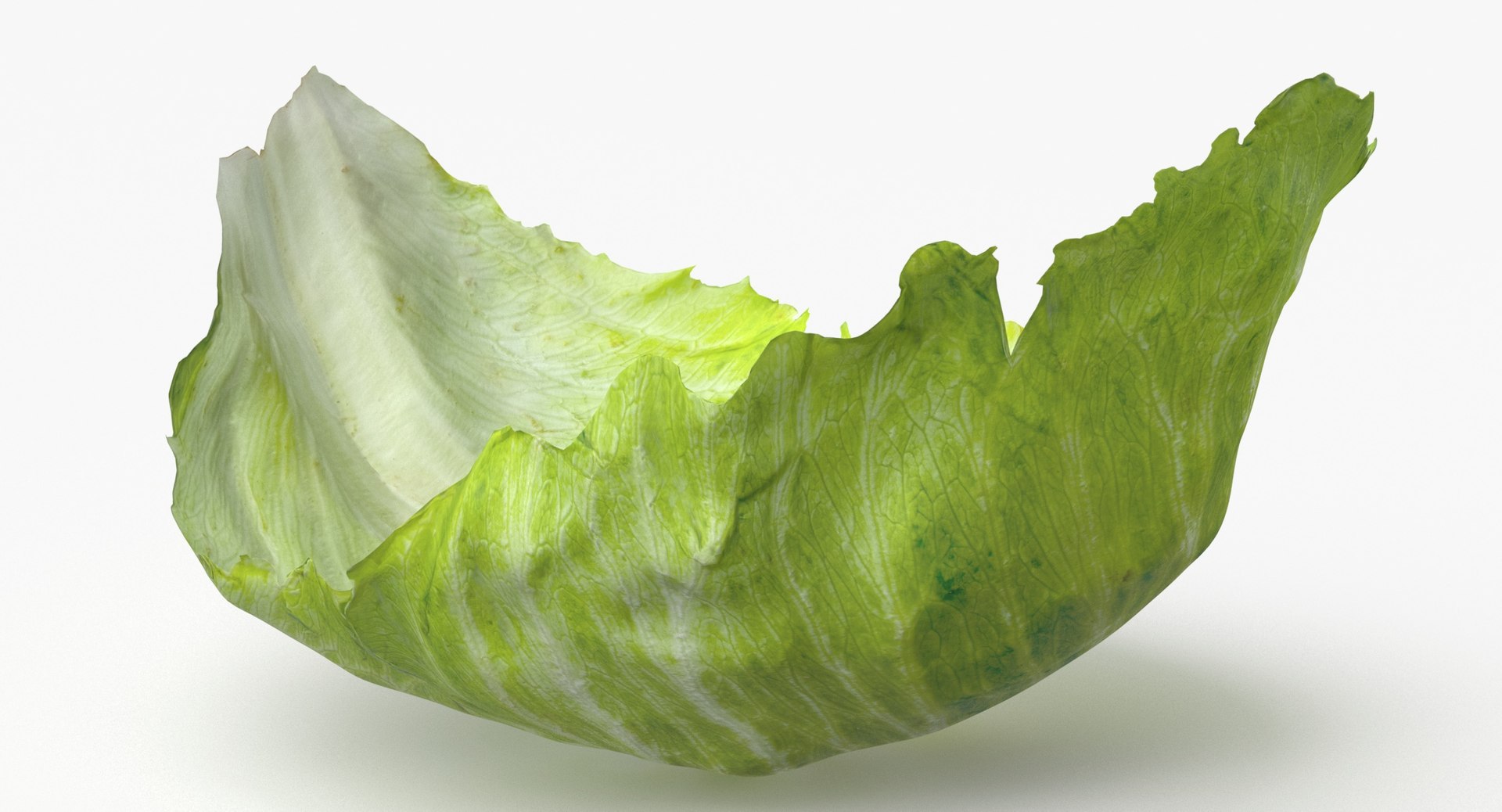 3D Lettuce and Lettuce Leaf Collection 01 - 2 models model - TurboSquid ...