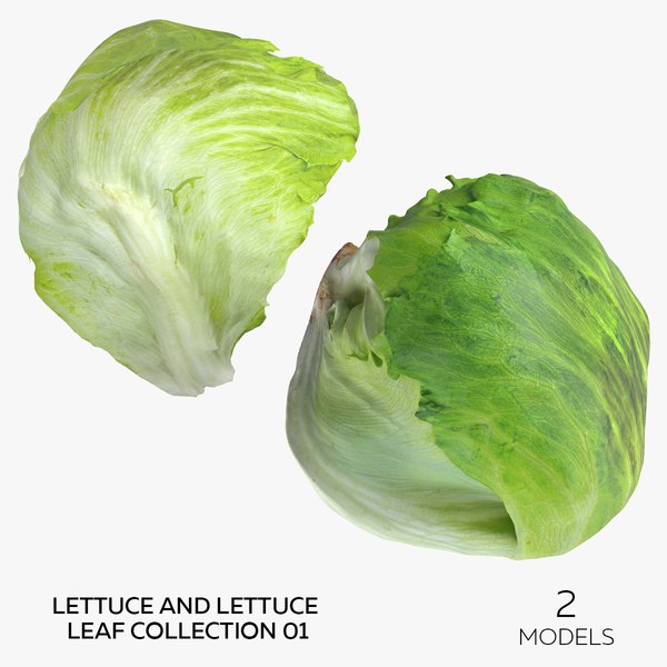 Lettuce 3D Models for Download | TurboSquid