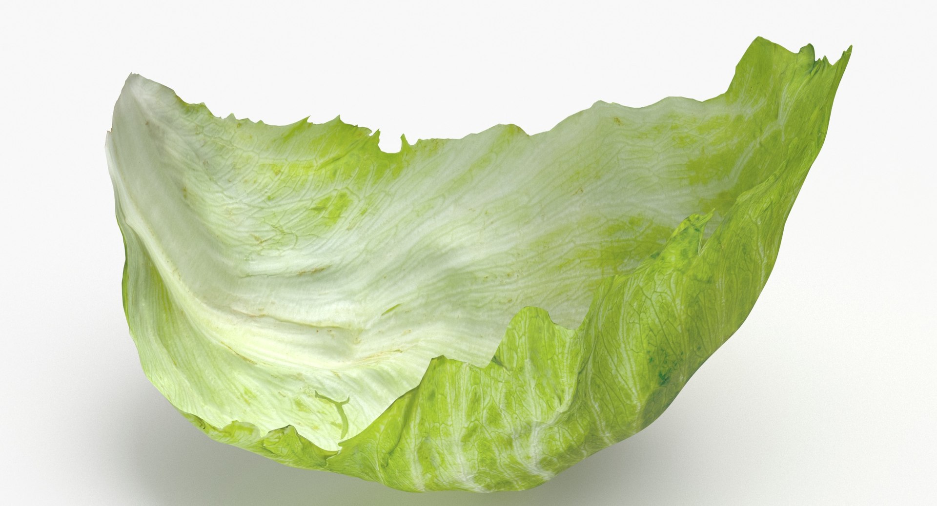 3D Lettuce and Lettuce Leaf Collection 01 - 2 models model - TurboSquid ...