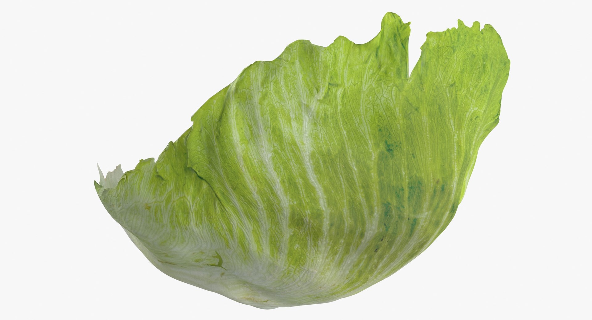 3D Lettuce and Lettuce Leaf Collection 01 - 2 models model - TurboSquid ...