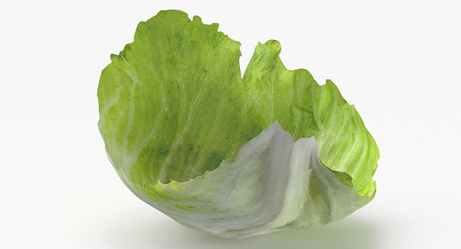 3D Lettuce and Lettuce Leaf Collection 01 - 2 models model - TurboSquid ...