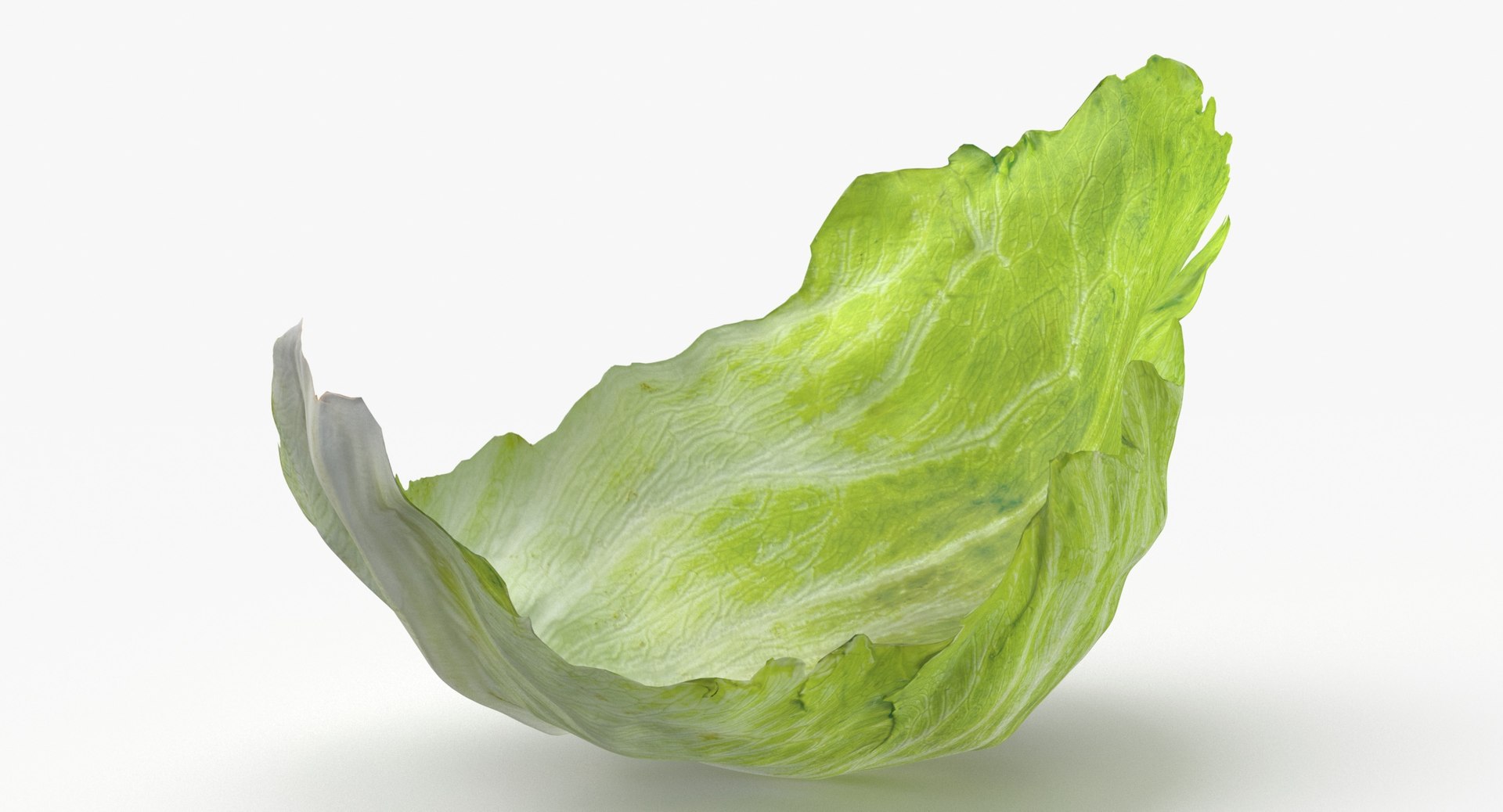 3D Lettuce and Lettuce Leaf Collection 01 - 2 models model - TurboSquid ...