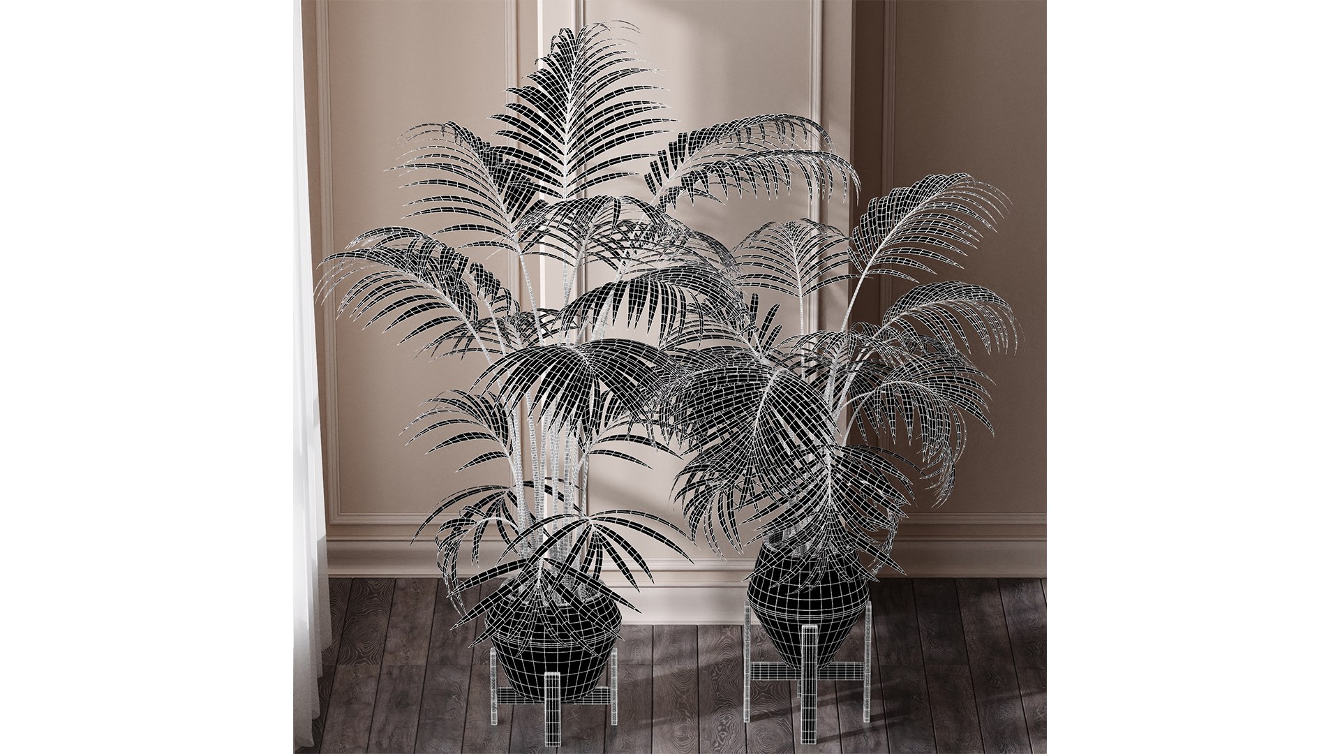 3D Kentia Marius House Plant Model - TurboSquid 2246926