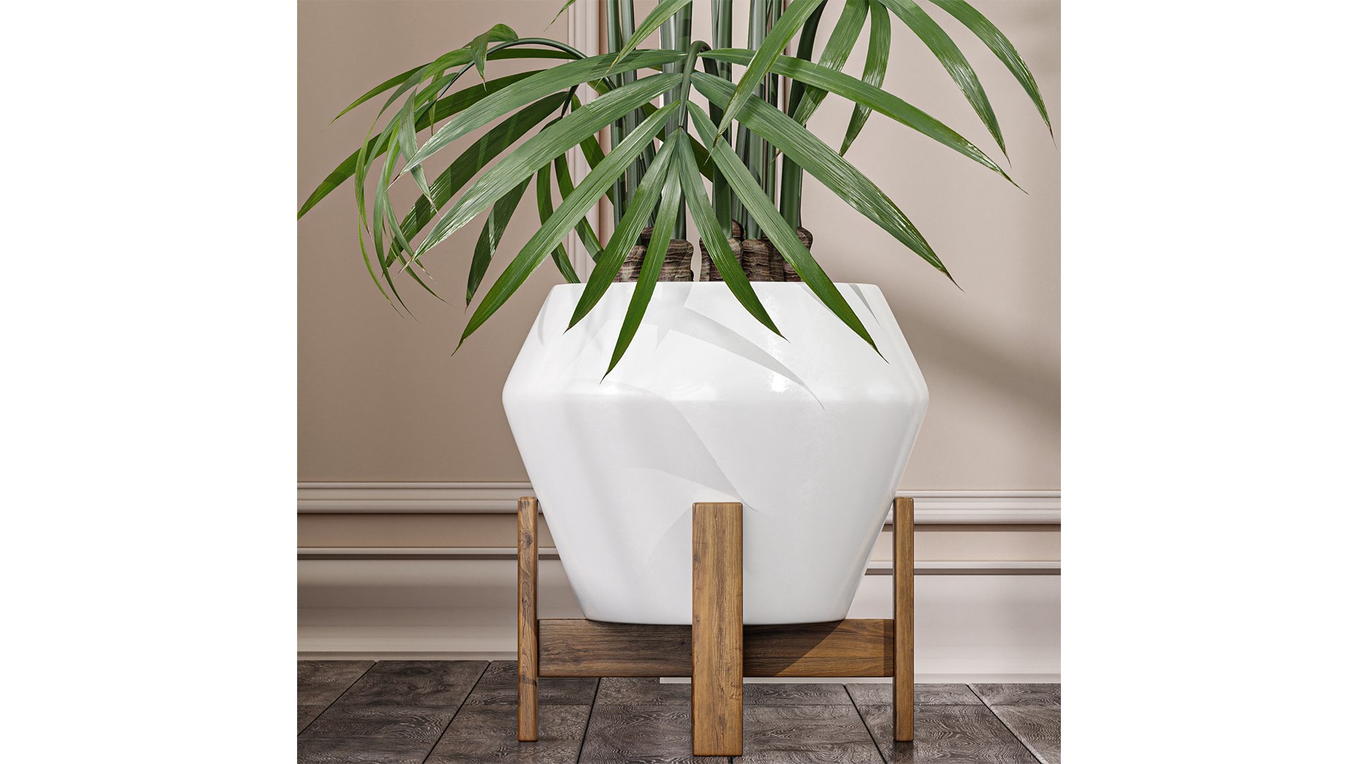 3D Kentia Marius House Plant Model - TurboSquid 2246926