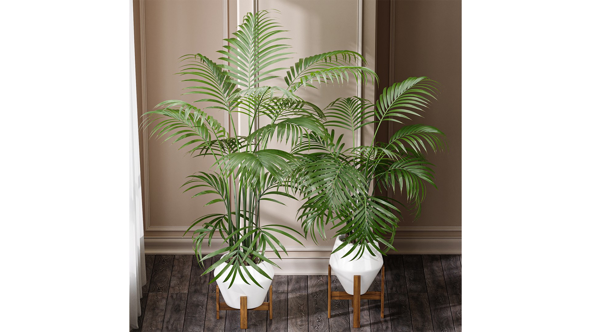3D Kentia Marius House Plant Model - TurboSquid 2246926