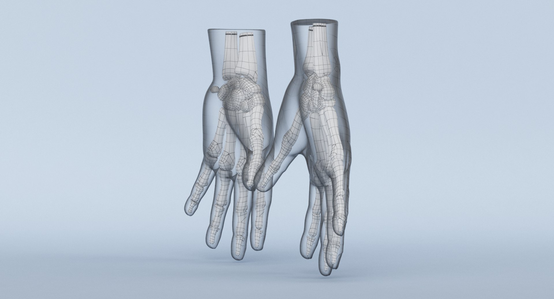 3d model hand anatomy blue