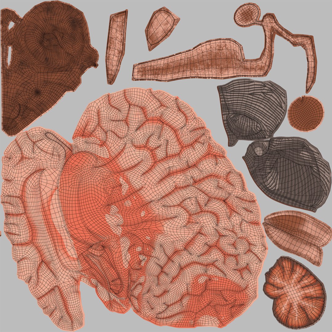 Human Brain Dissection 3D - TurboSquid 1515274