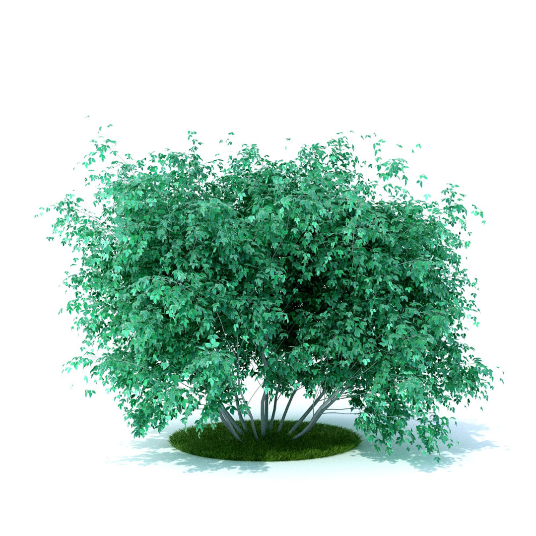 archmodels vol 105 garden max