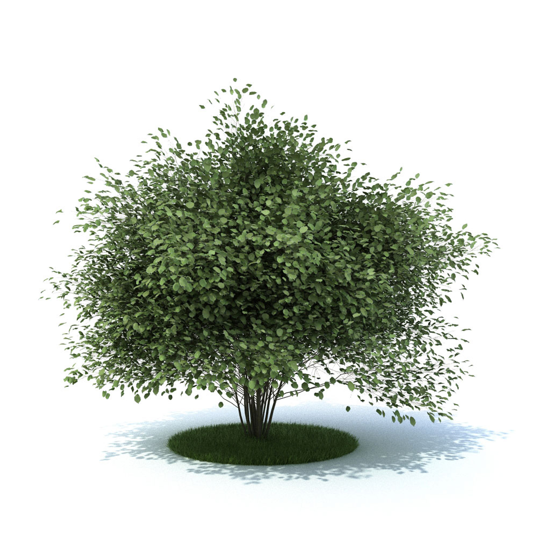 archmodels vol 105 garden max