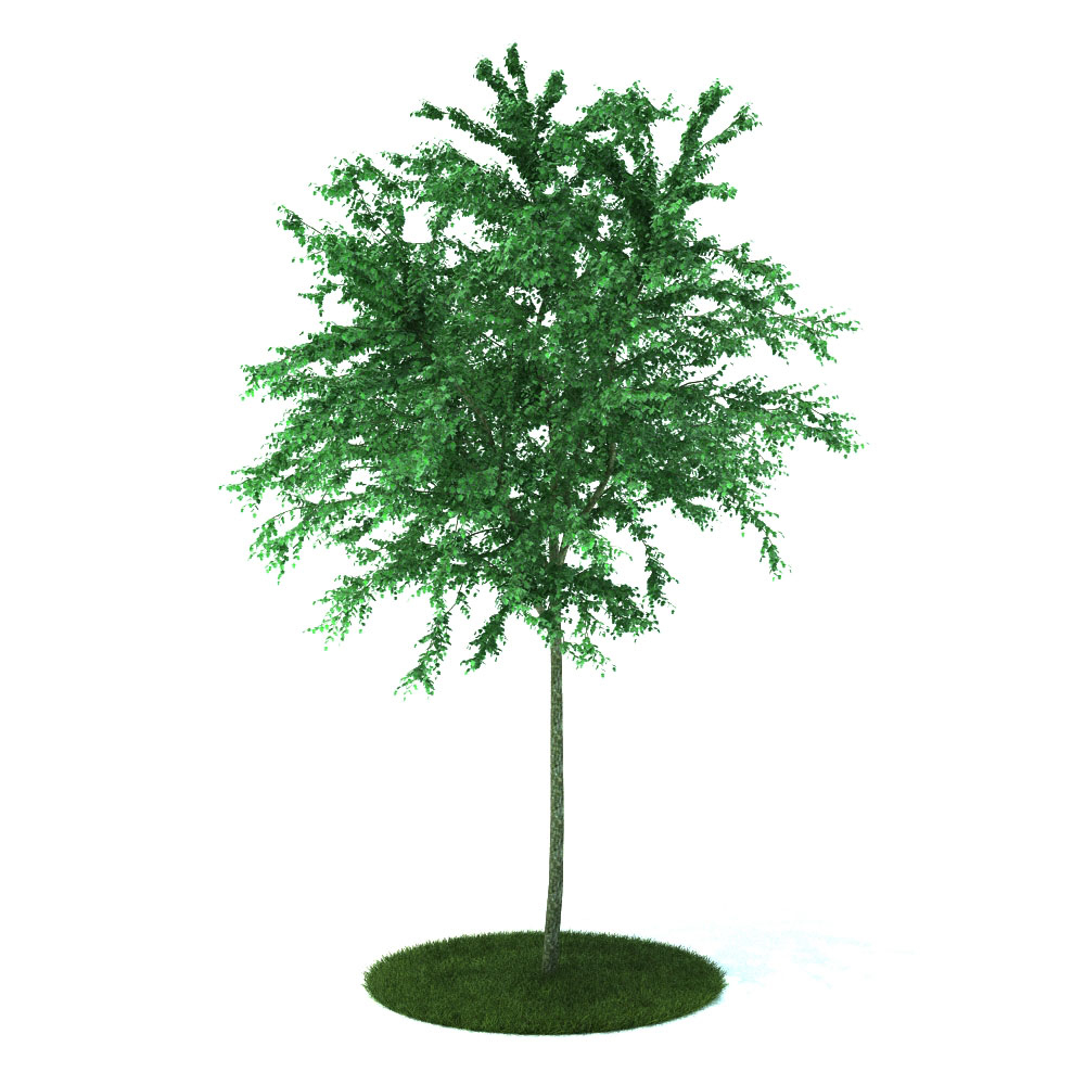 archmodels vol 105 garden max