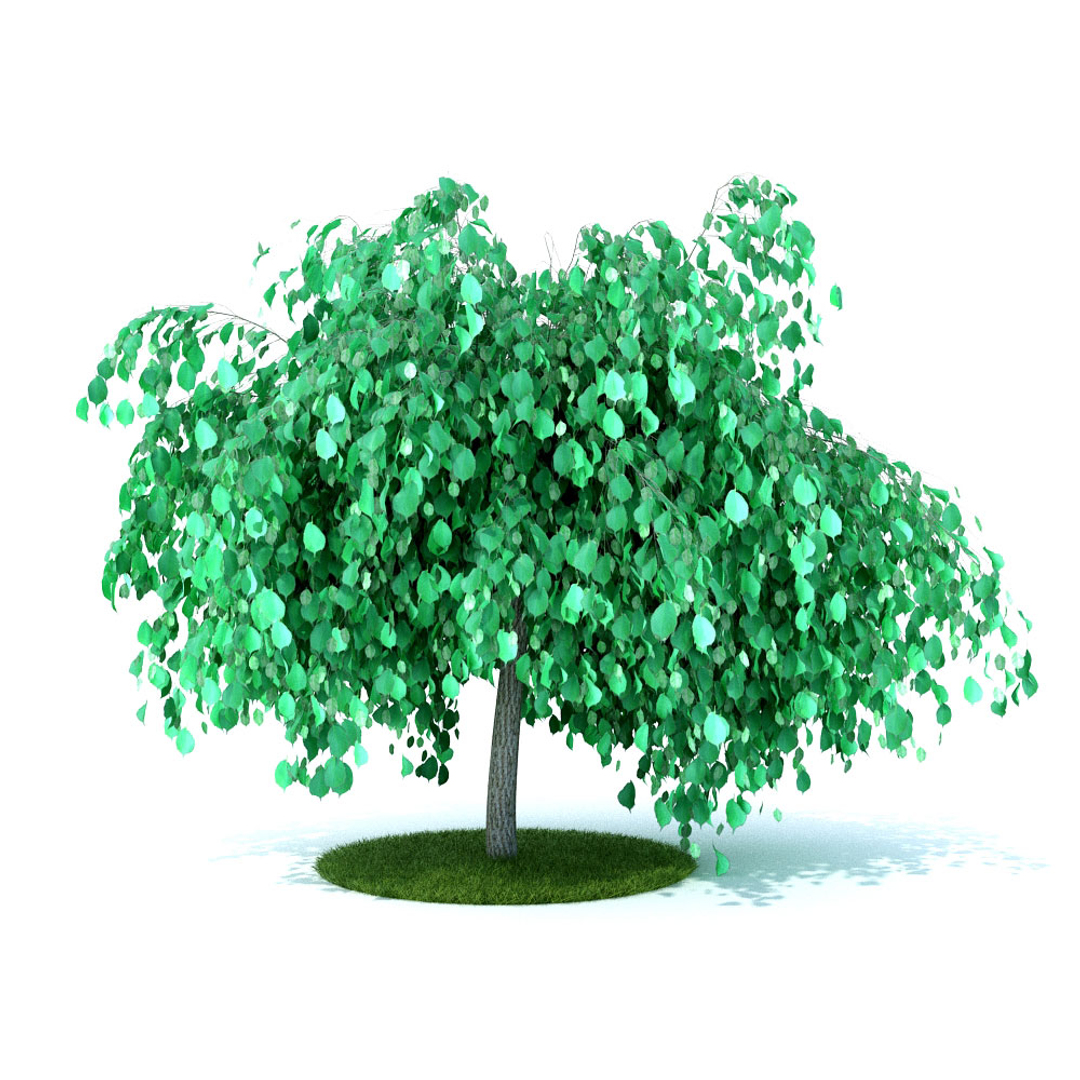 archmodels vol 105 garden max