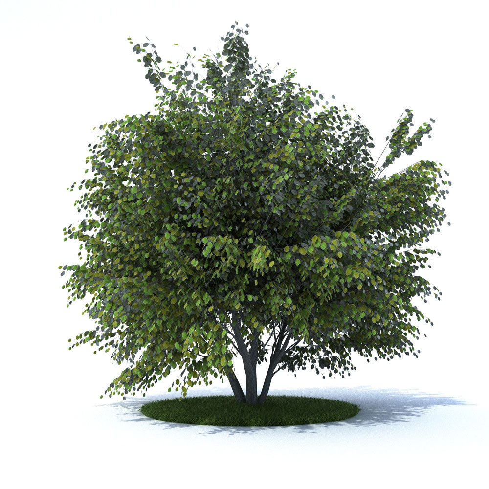 archmodels vol 105 garden max