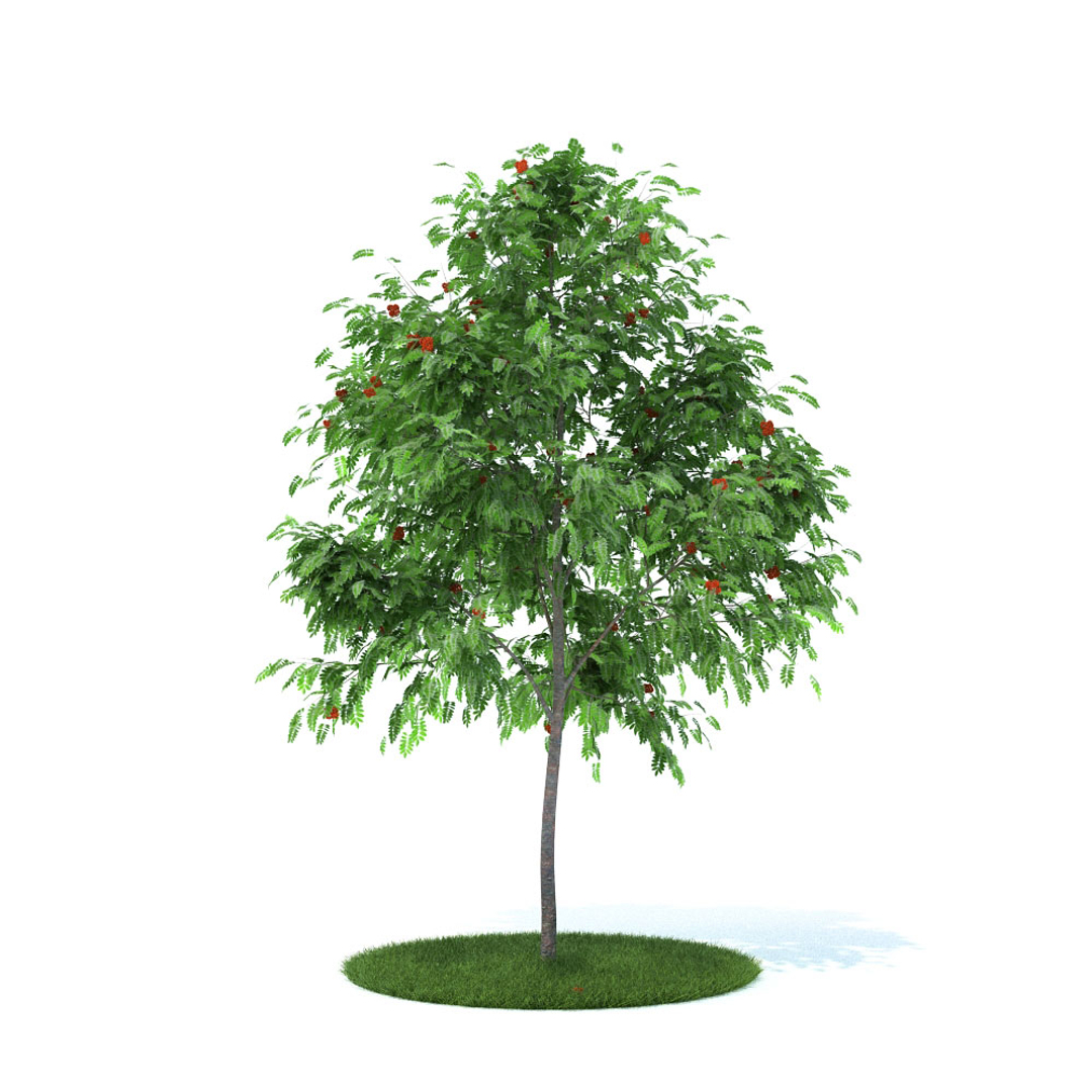 archmodels vol 105 garden max