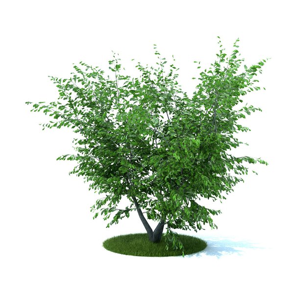 archmodels vol 105 garden max