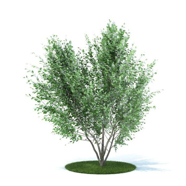 archmodels vol 105 garden max