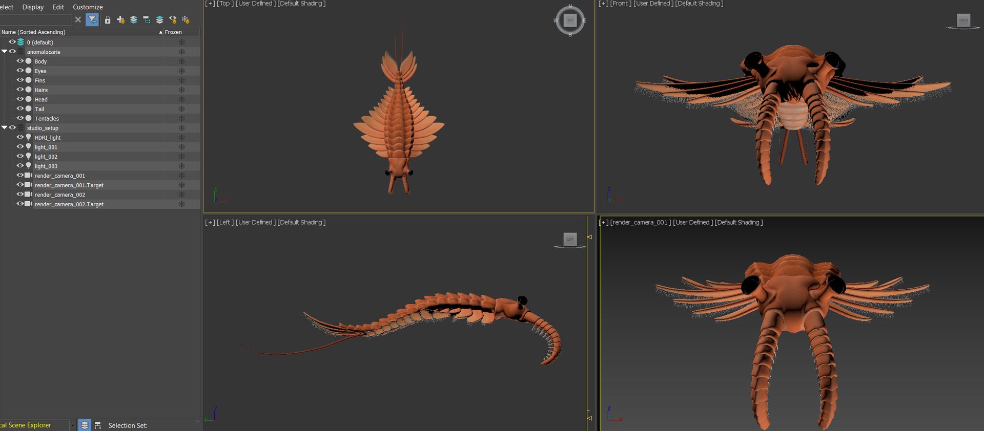 3D Anomalocaris Static Model - TurboSquid 1775992