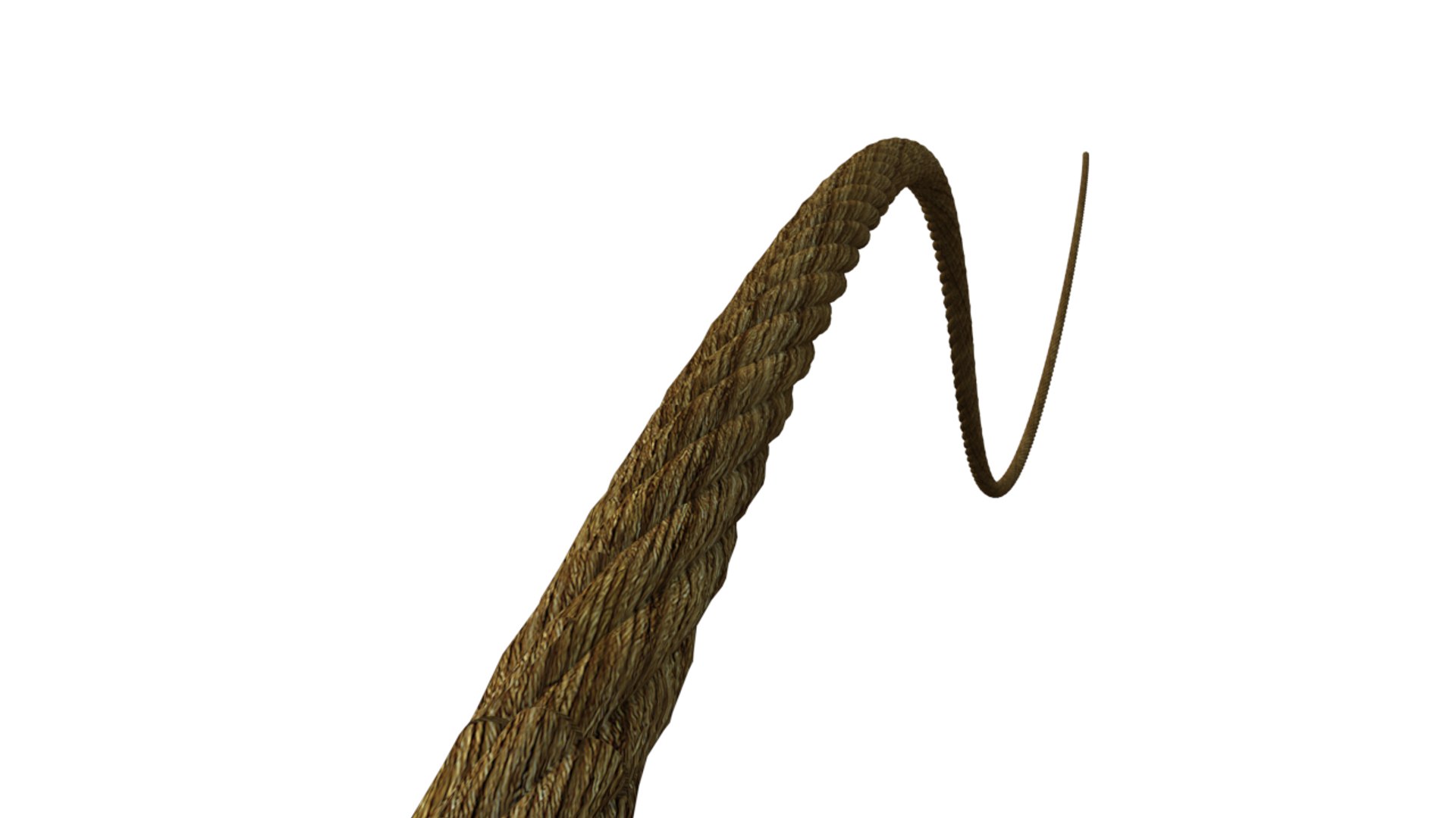 3D Rope Rig Model - TurboSquid 1422685