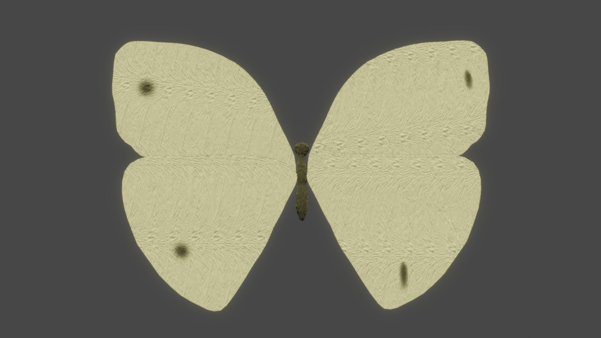 3D Butterfly Animated Model - TurboSquid 2095028