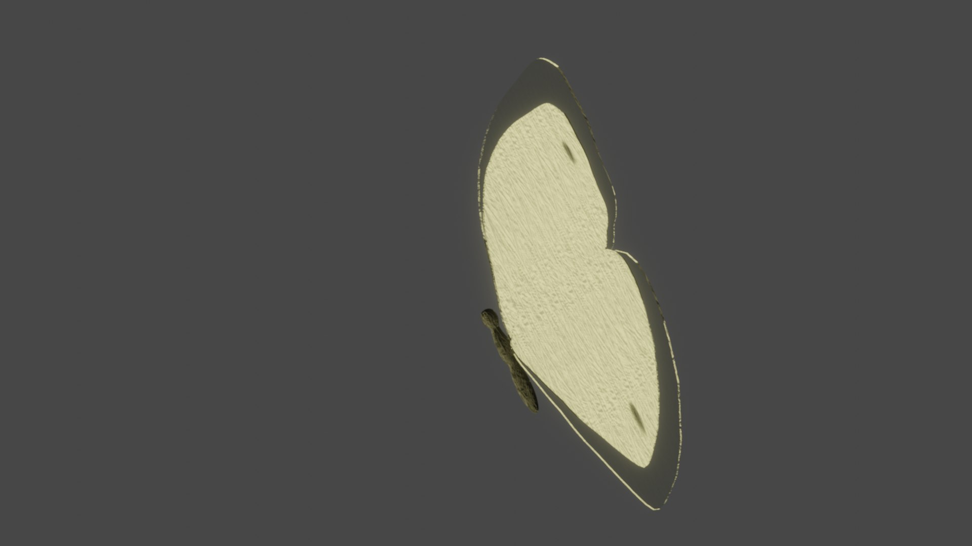 3D Butterfly Animated Model - TurboSquid 2095028