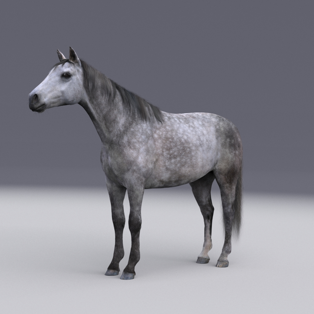3D Model Horses - TurboSquid 1577047