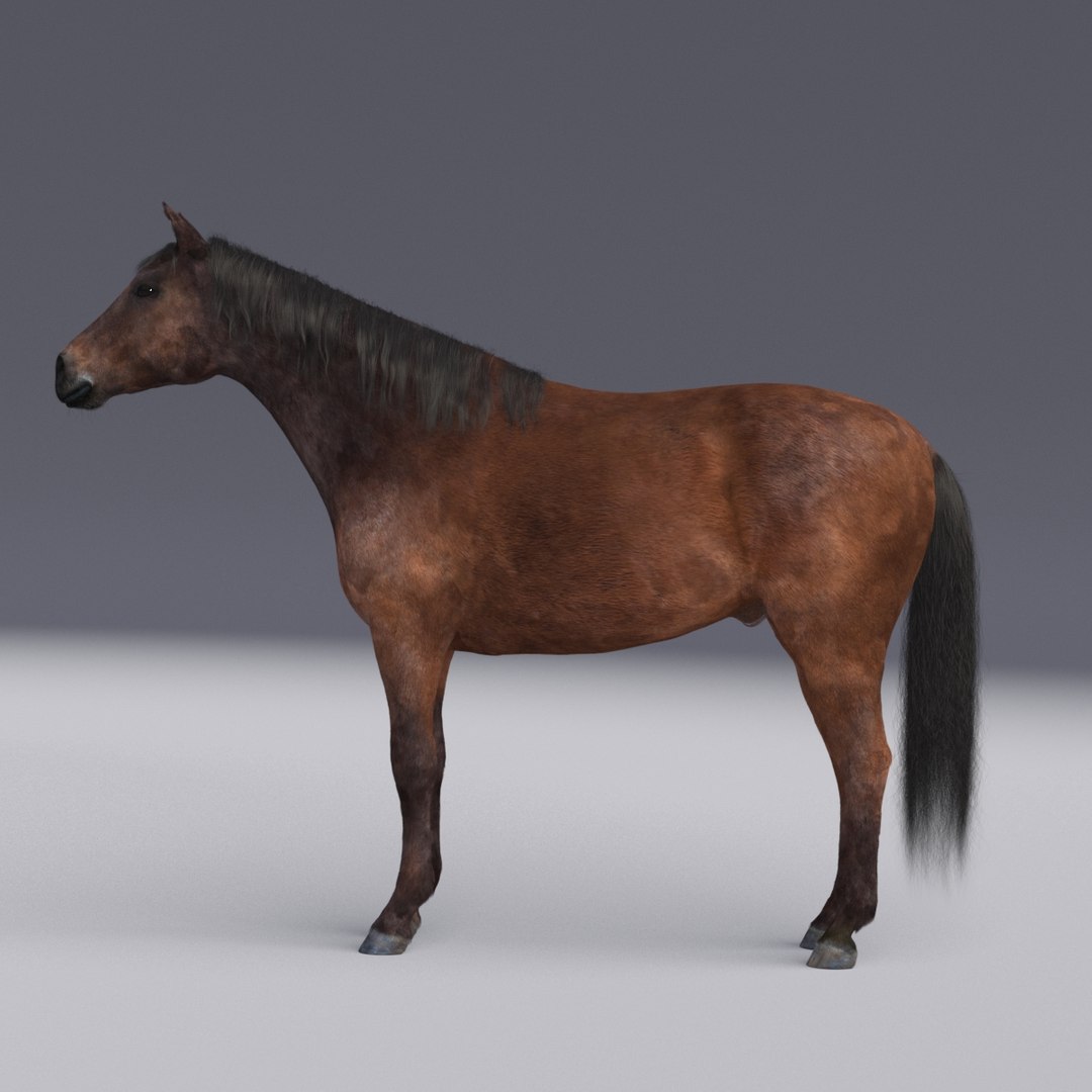 3D model horses - TurboSquid 1577047