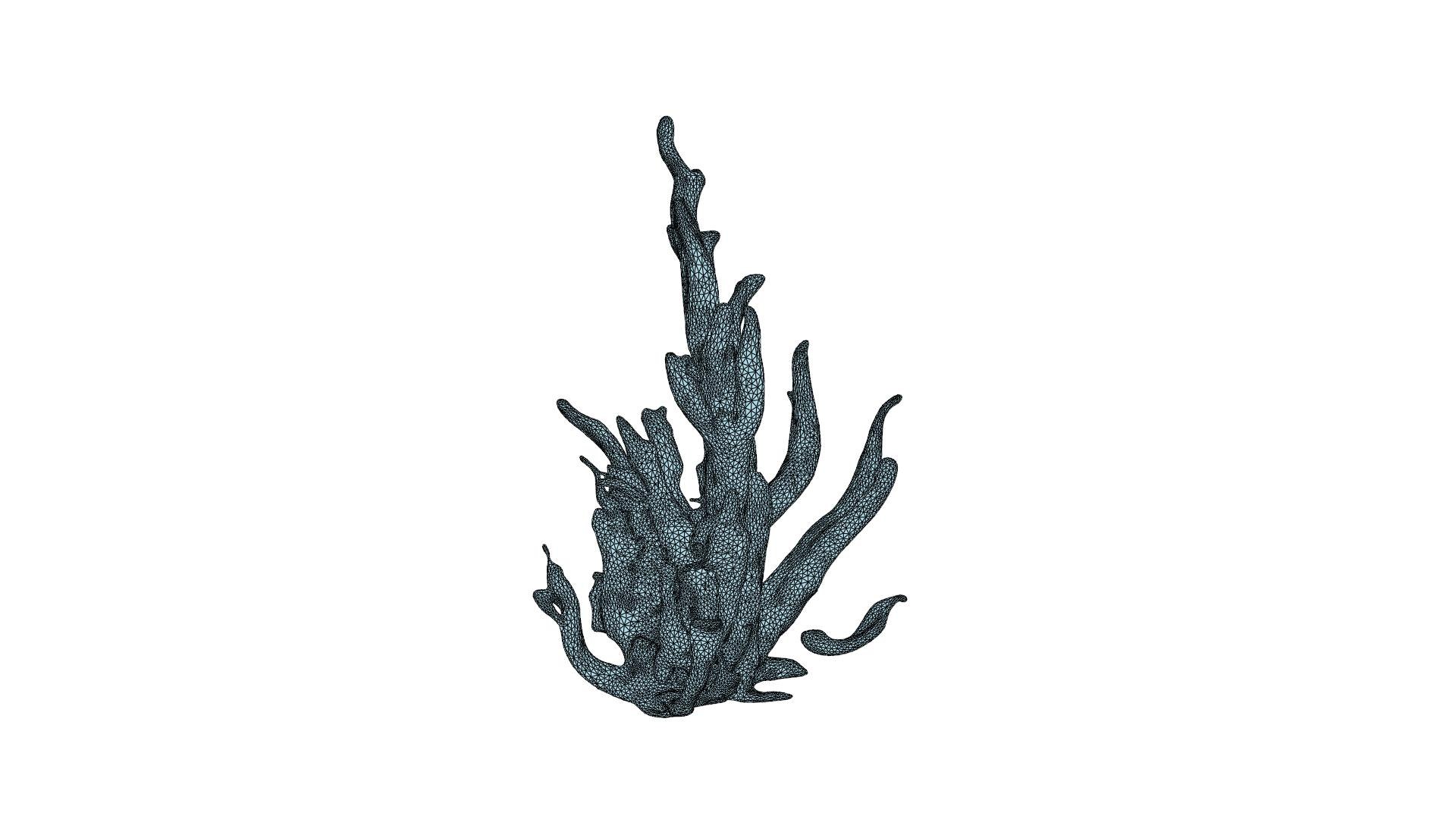 3D Model Seaweed - TurboSquid 2221421