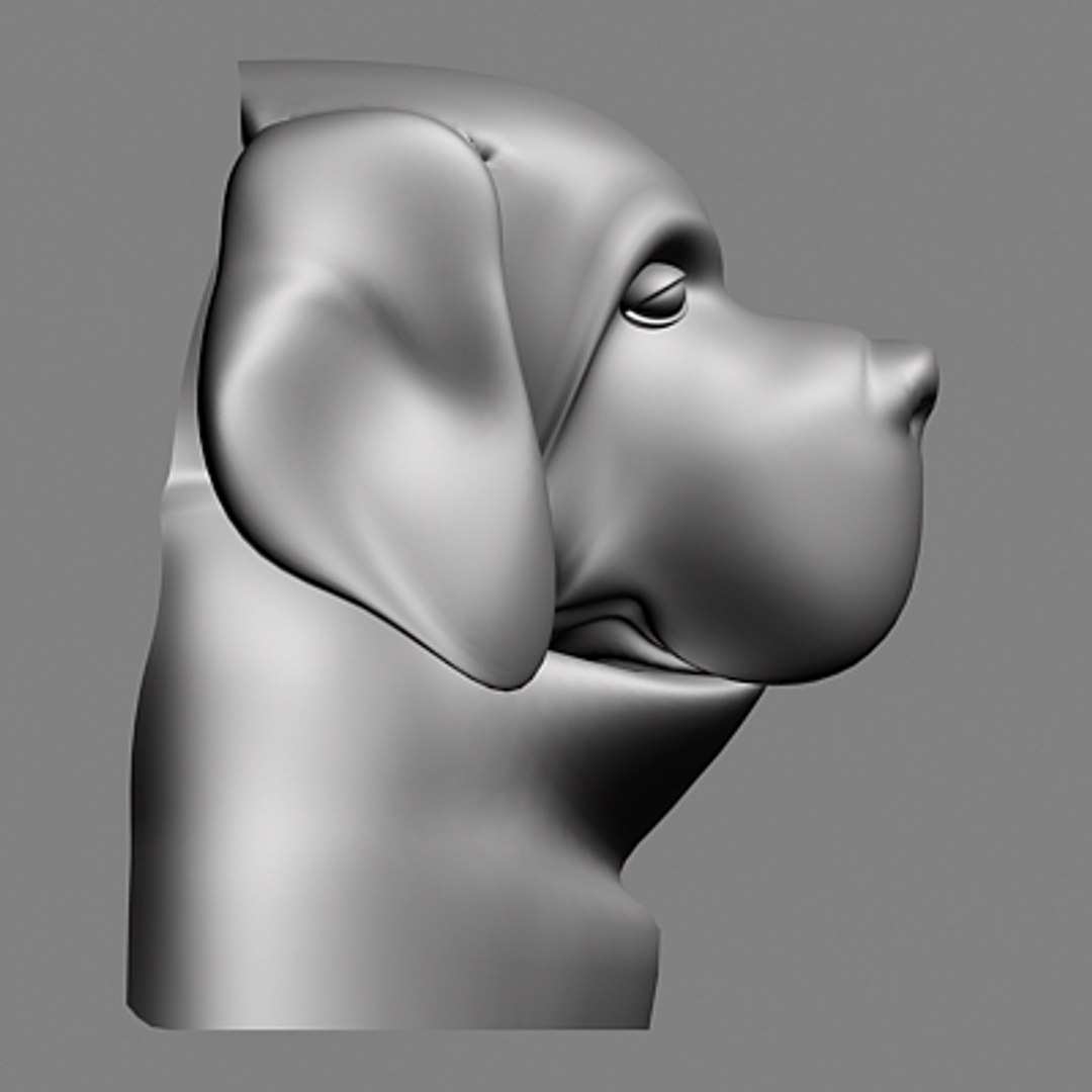 dog head 3d model