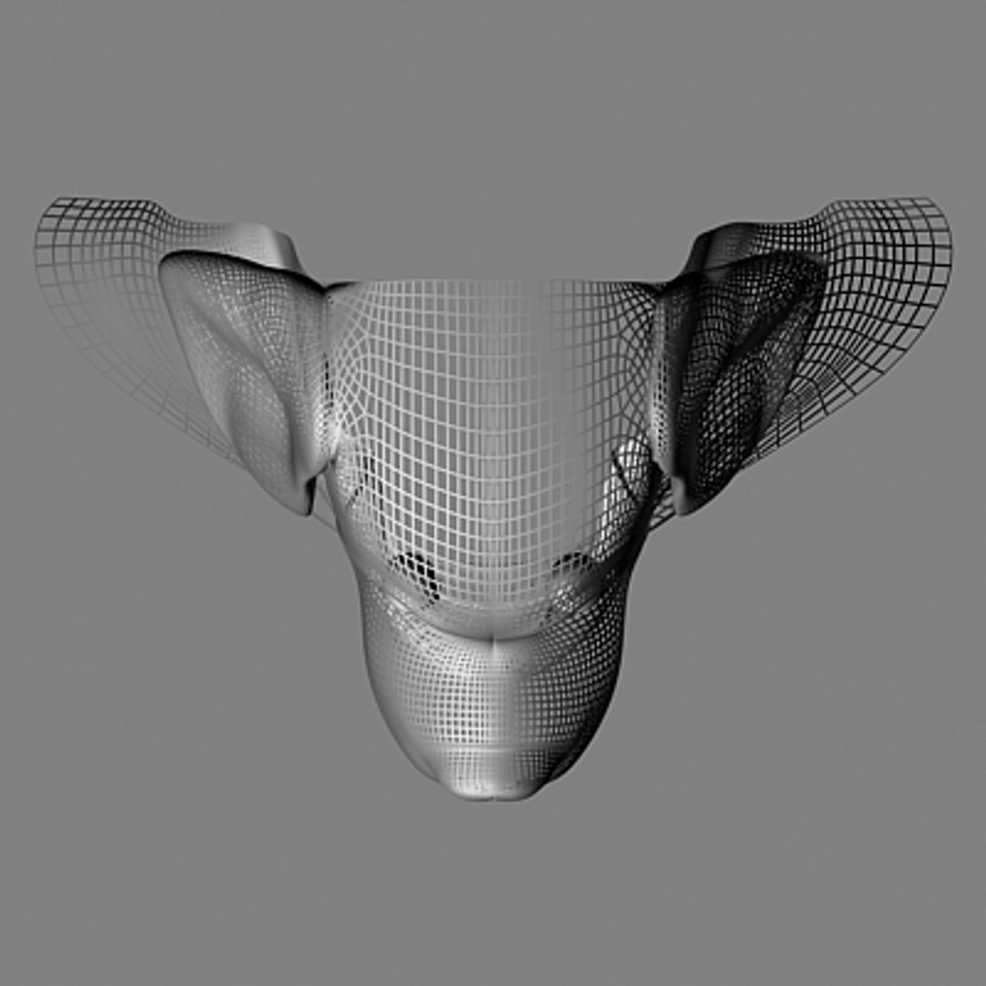 dog head 3d model