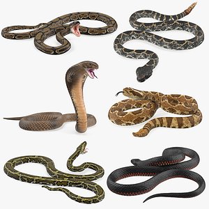 3D rigged snakes 3 model - TurboSquid 1513214