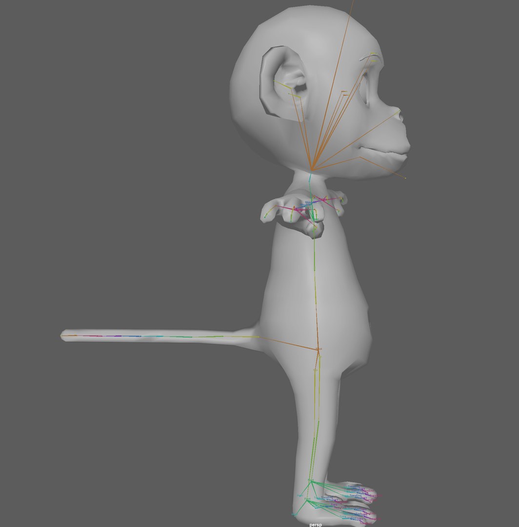 Cartoon Monkey Rig 3D Model - TurboSquid 1971708