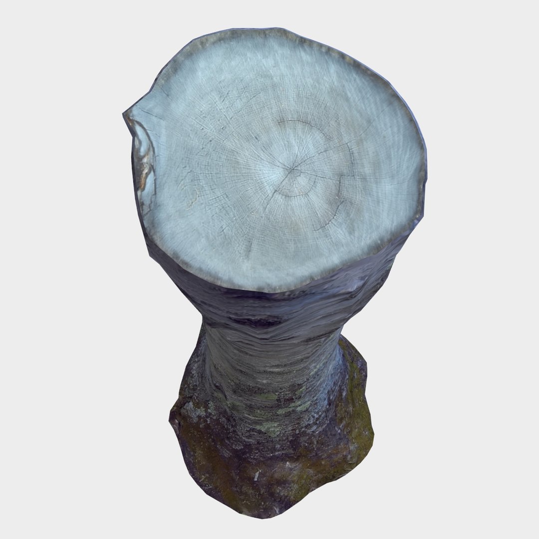 Birch Tree Stump 3D Model - TurboSquid 1291251
